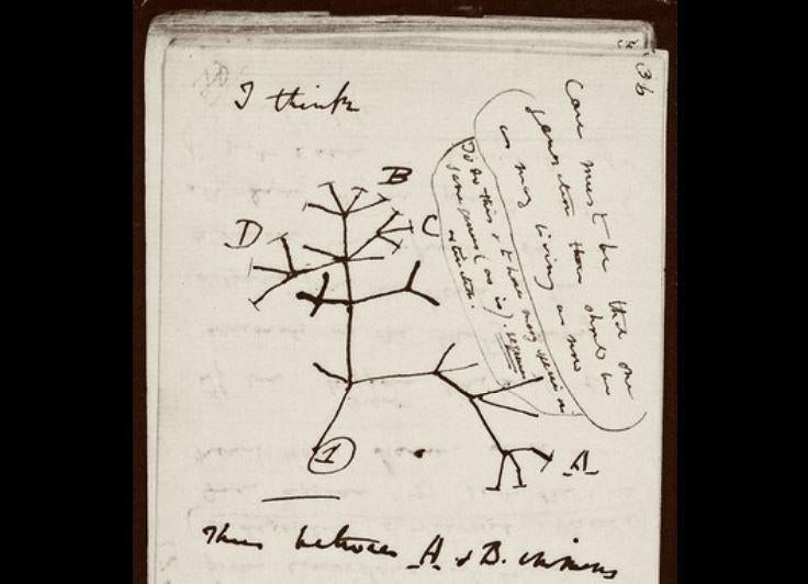 Charles Darwin's "Tree of Life" notebooks, missing for two decades ...
