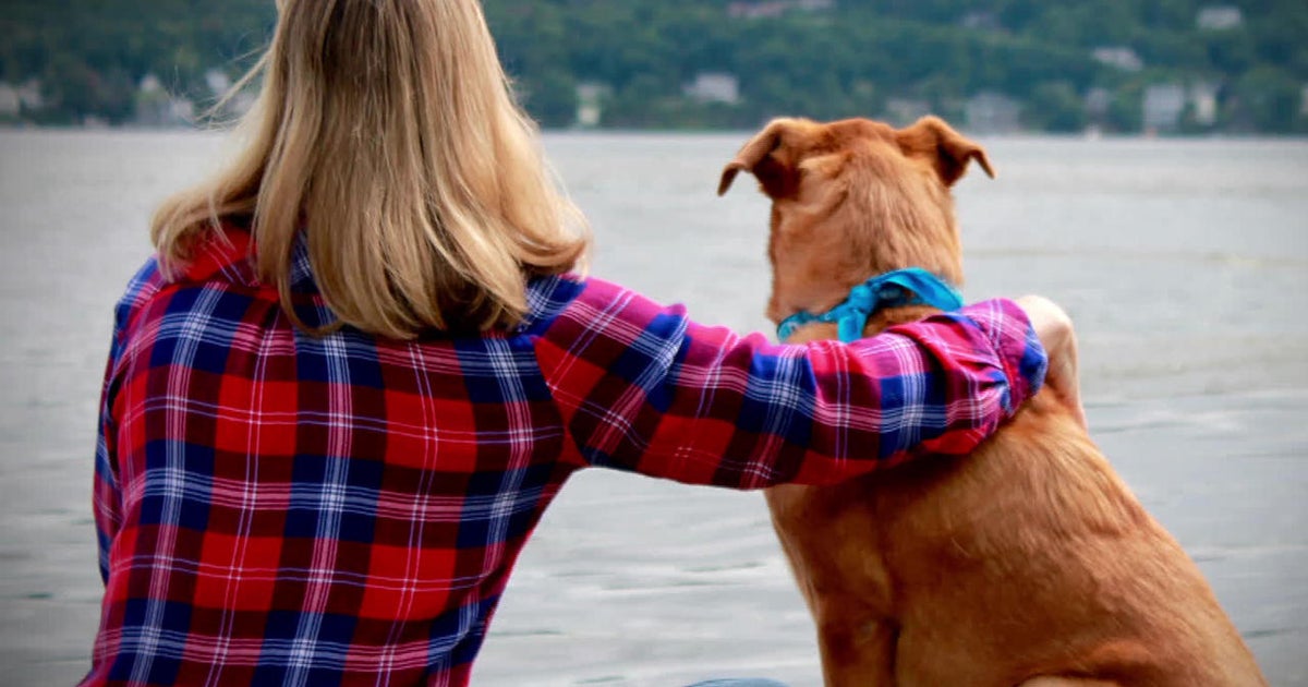 Keeping pets all in the family - CBS News
