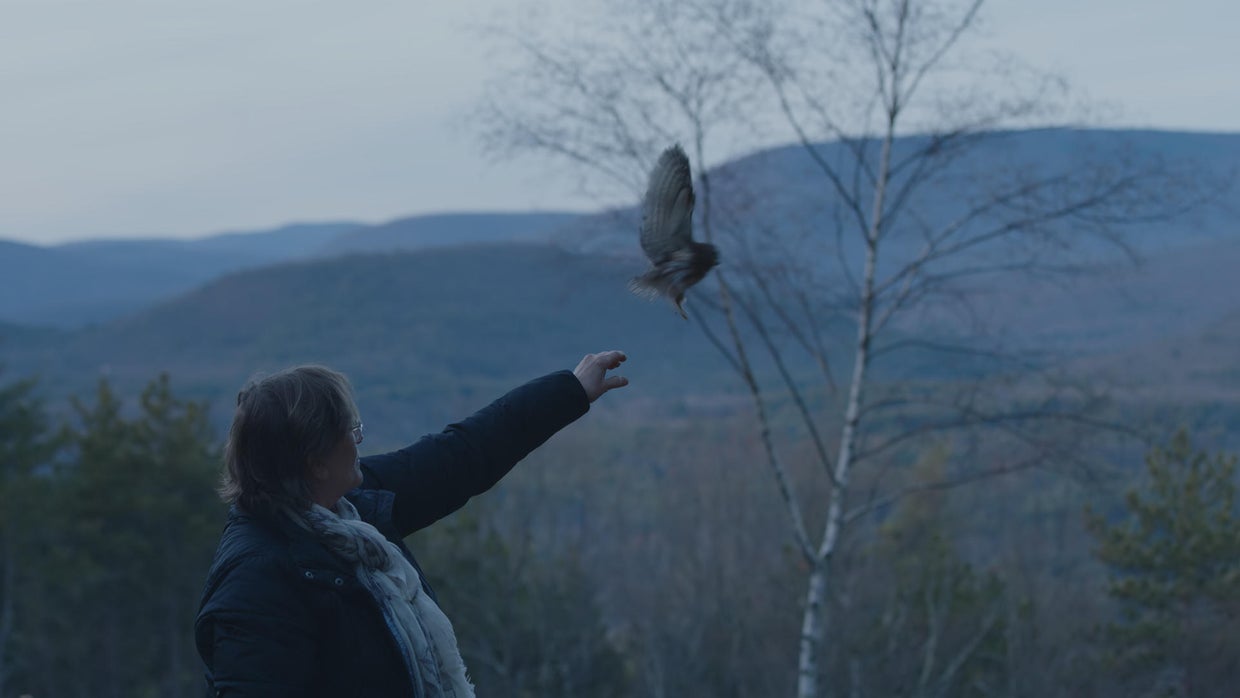 Rocky, the tiny Rockefeller Center Christmas tree owl, released back ...