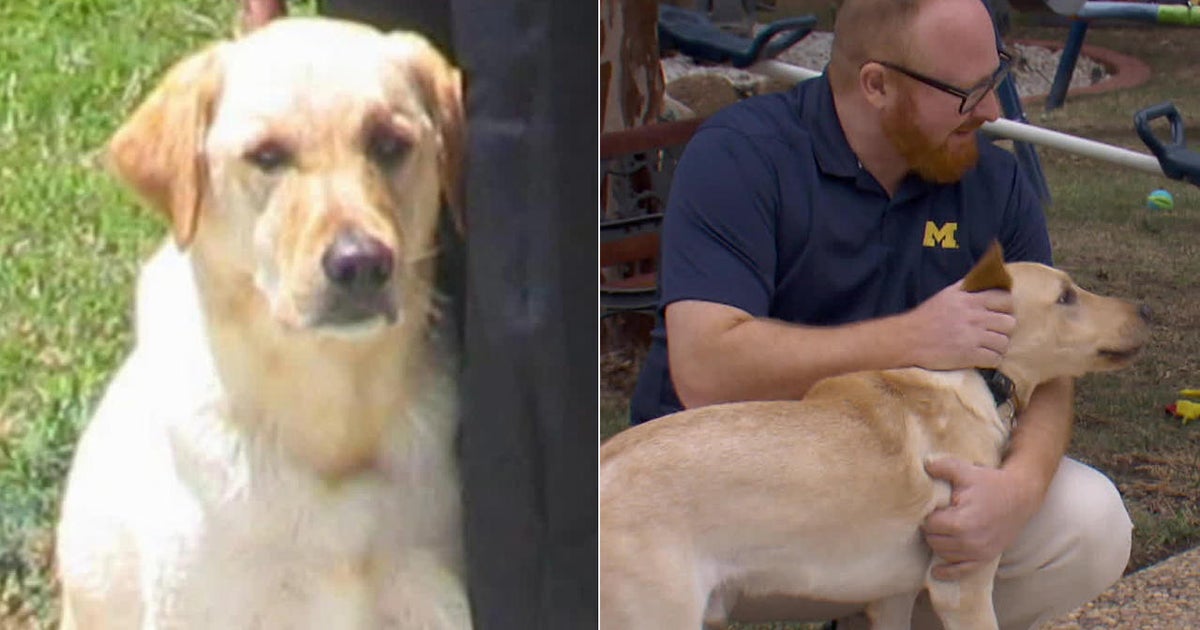 Pet cloning: Man's best friend, again - CBS News