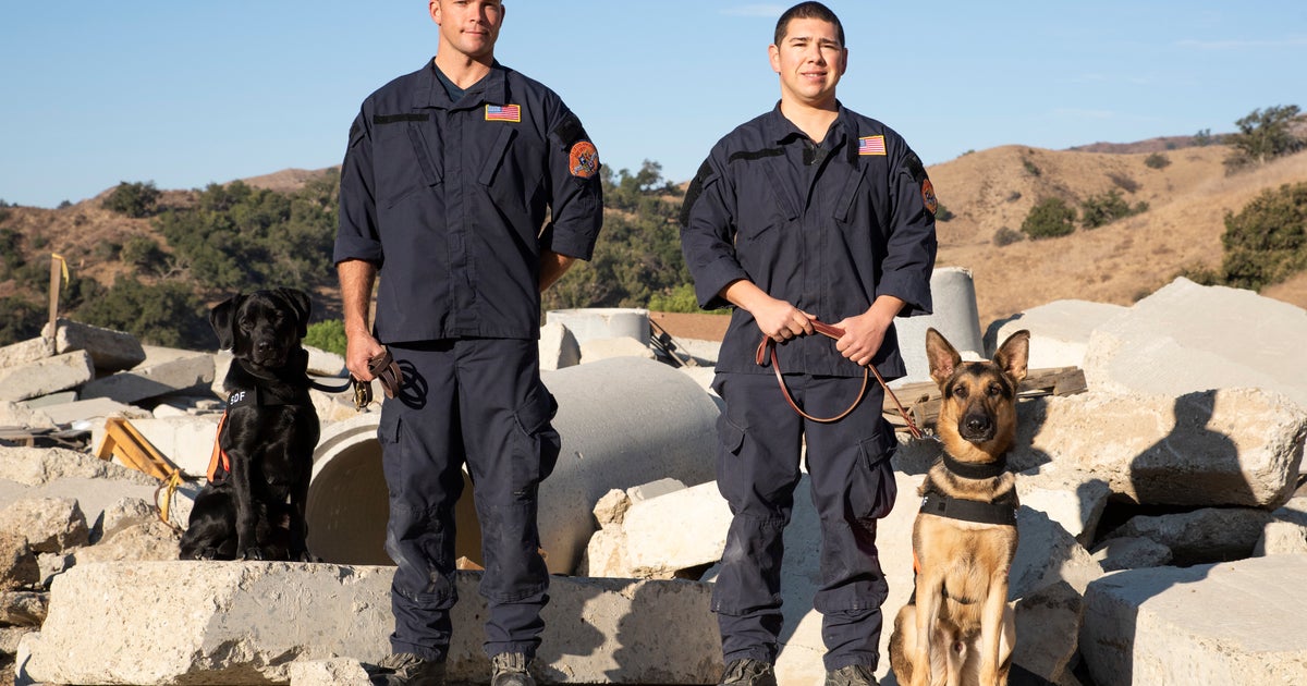 Two Rescue Dogs Added To LA County Fire Search And Rescue Team - CBS ...