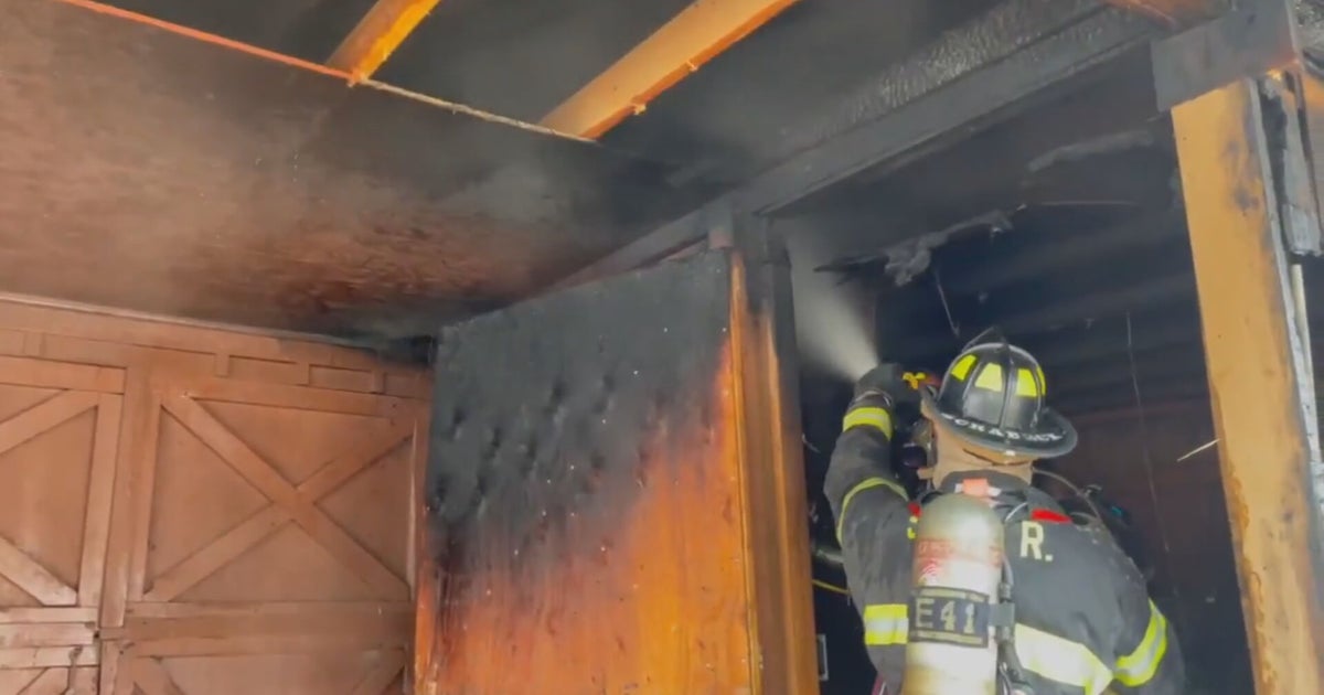 Animals Rescued From Barn Fire In Douglas County - CBS Colorado