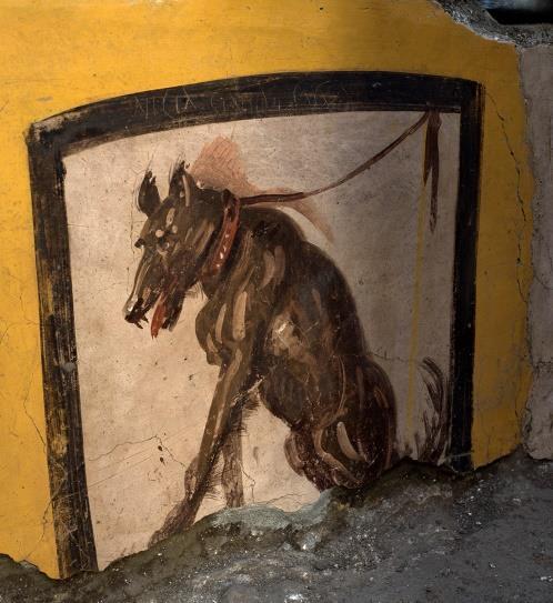 Archaeologists unearth well-preserved ancient "snack bar" in Pompeii ...