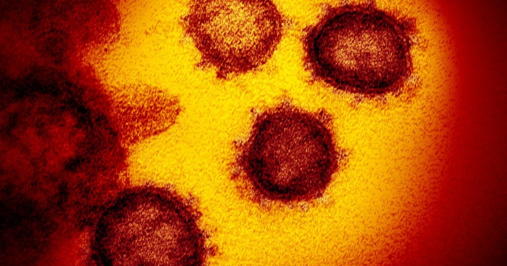 CDC: Florida Leads Nation In COVID-19 Variant Cases - CBS Boston