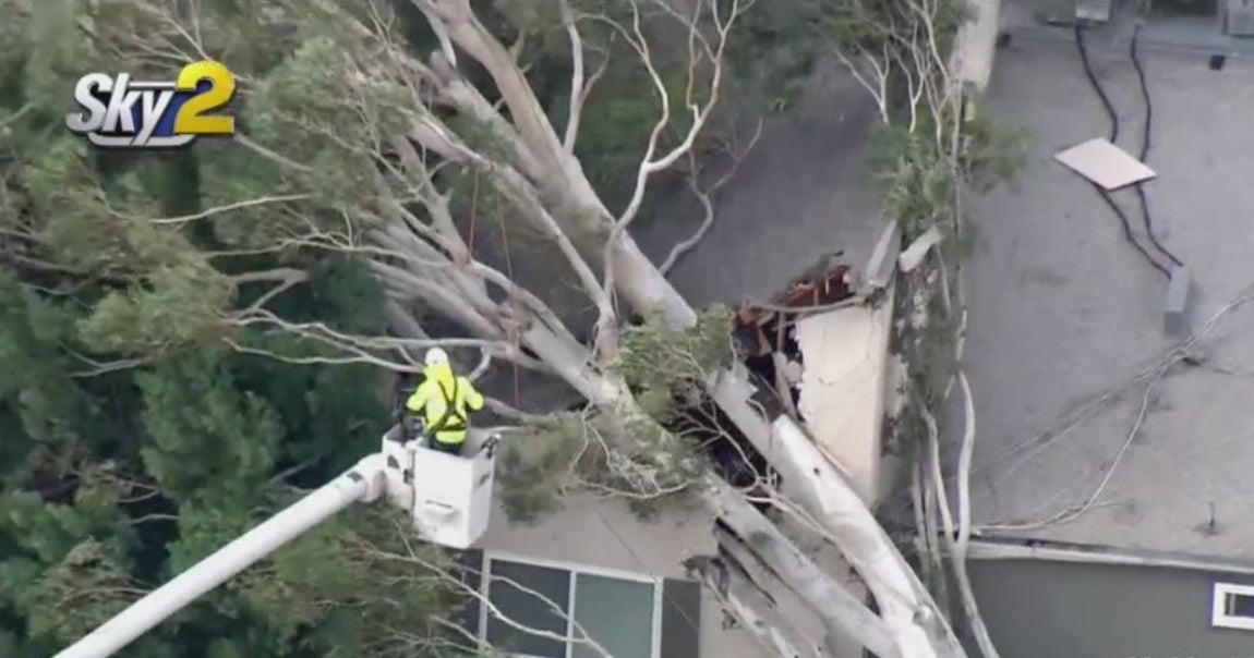 Strong Winds Lead To Power Outages, Trees Falling On Homes, Big Rig ...