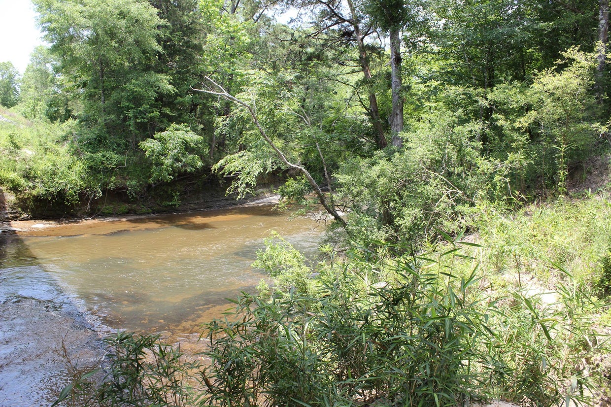 The search for the killer of Tracey Harris