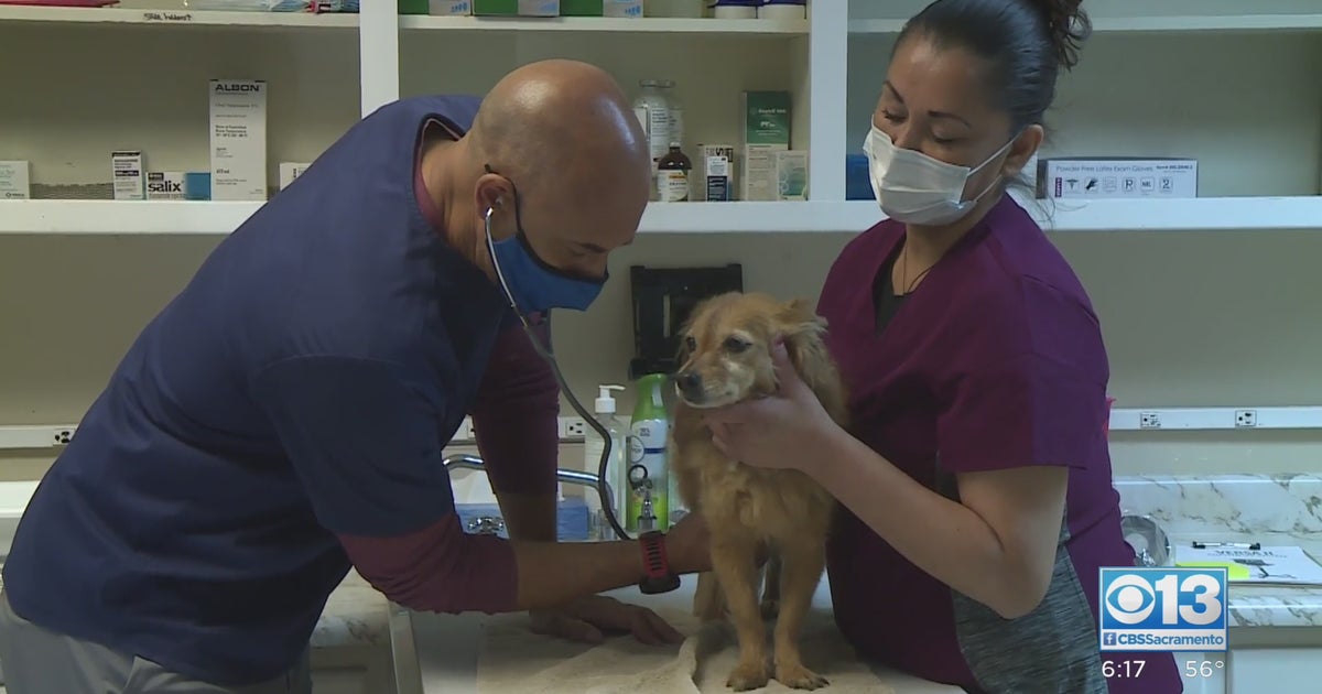Dream Fulfilled: 'Street Vet' Returns To Where Journey Began In Modesto ...