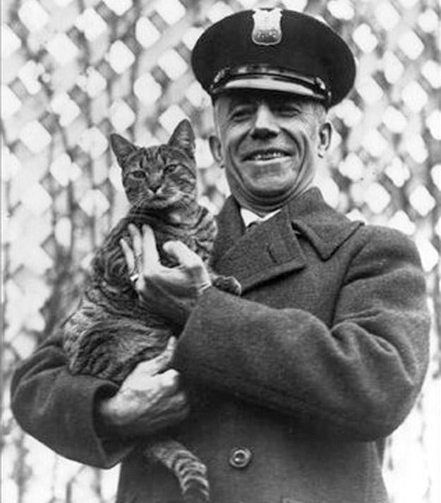 White House pets, from adorable to very weird