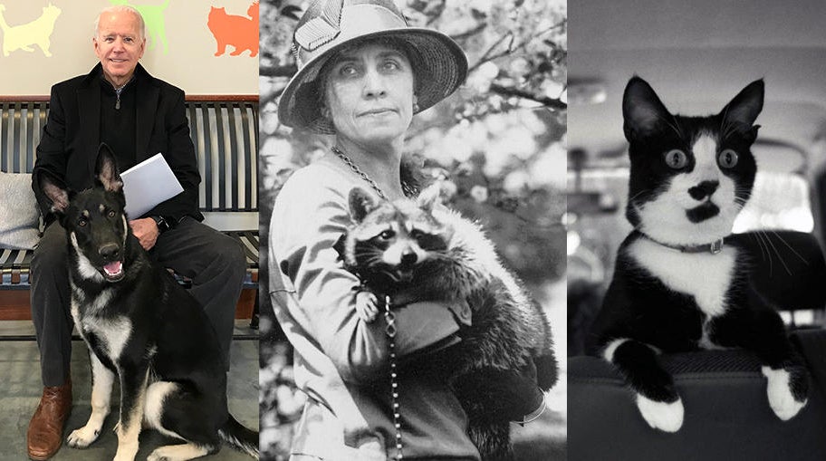 White House pets, from adorable to very weird