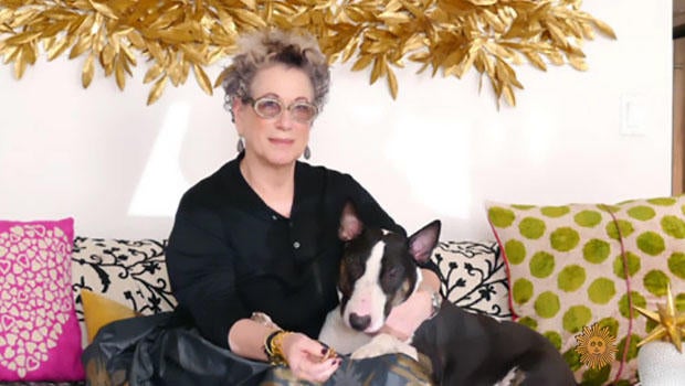 "When Harry Met Minnie": A NYC fairy tale of puppy love and friendship ...