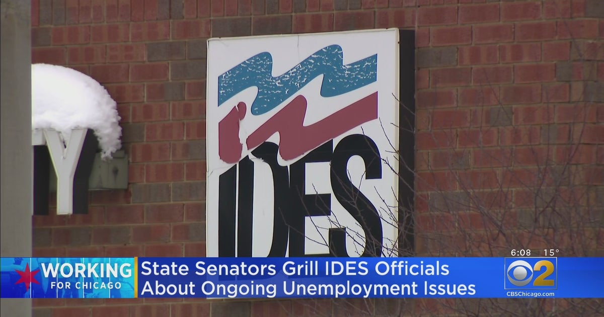 State Senators Grill IDES Officials About Ongoing Unemployment Issues ...