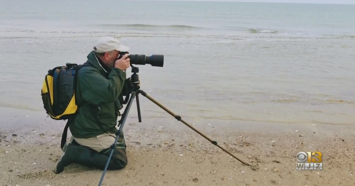 Bill Portlock Reflects On Career Photographing, Studying The Chesapeake ...