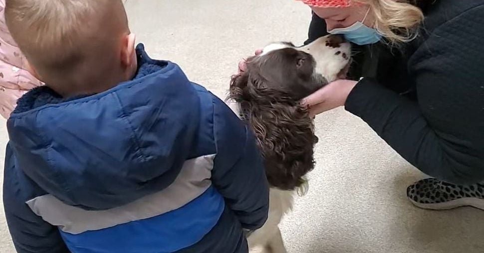 Dog Missing For 43 Days Reunites With His Family After Being Rescued ...