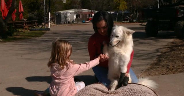 Rescue animals comfort children with disabilities - CBS News