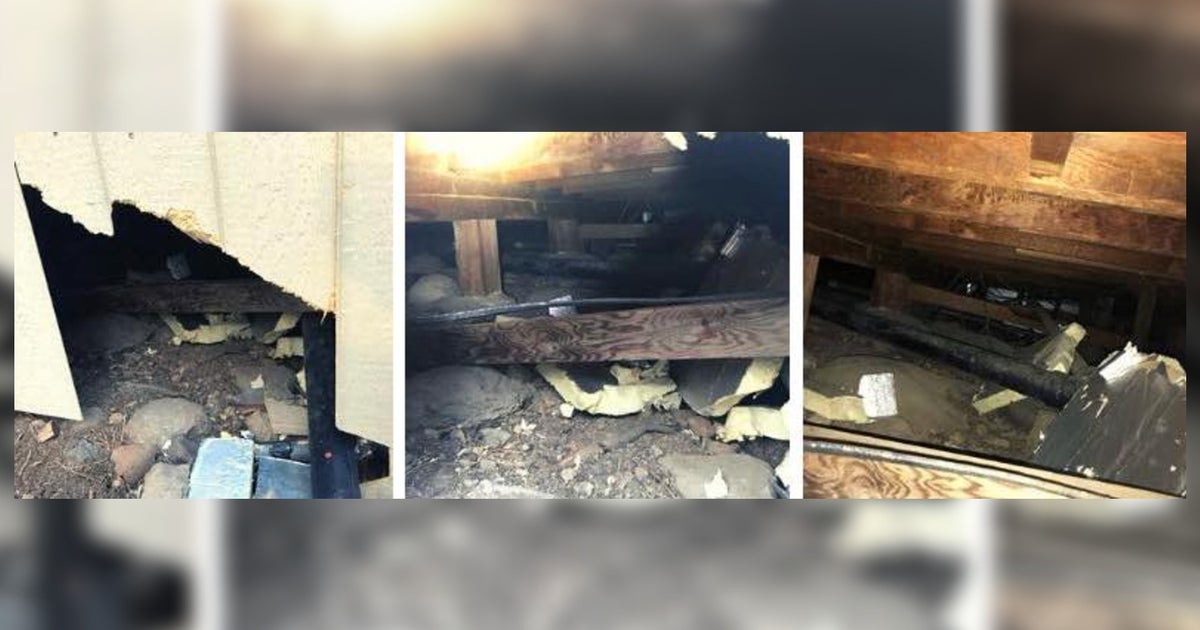 Tahoe Bear Activity Increasing As Temperatures Warm, Authorities Warn ...