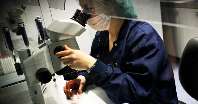 Scientists in China seek genetic roots of human intelligence - CBS News