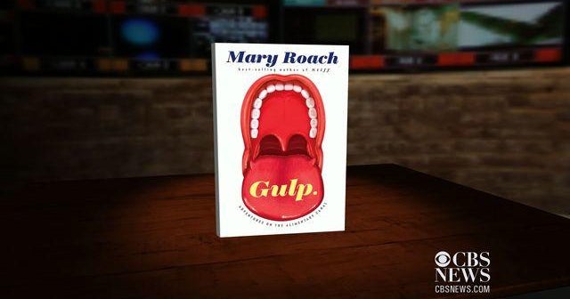 Digestive system questions answered in Gulp - CBS News