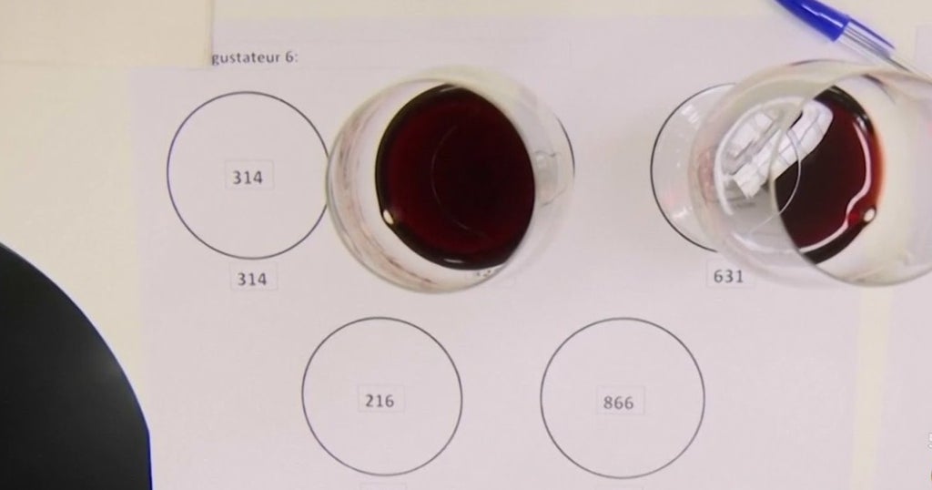 Scientists Pouring Over Results Of Experiment To Blast Wine Into Space ...