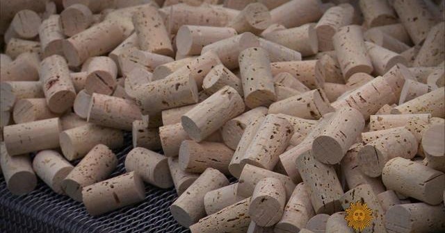 A toast to cork! - CBS News