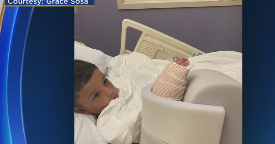 Boy, 7, Bitten By Shark In Shallow Water Off Fort Lauderdale Beach ...