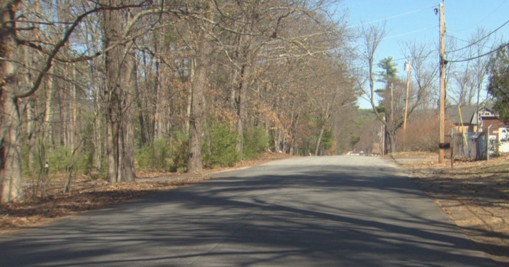 1-Year-Old Townsend Boy Dies After Being Hit By Falling Tree - CBS Boston