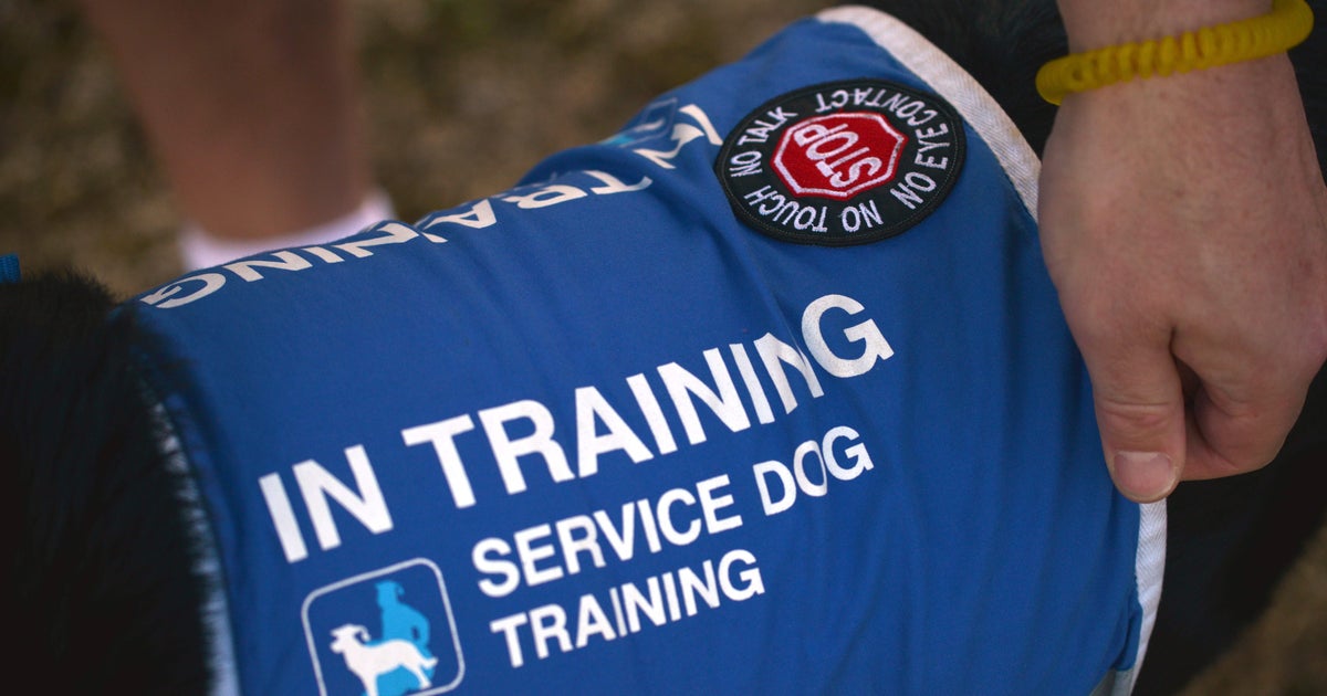 Ruff Ride Pittsburgh event helps raise funds for veterans, service dogs ...