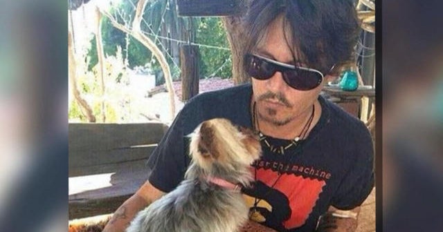 Johnny Depp's dogs avoid death in Australia - CBS News