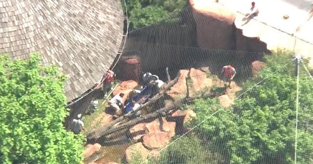 Tiger on the loose in Oklahoma City zoo - CBS News