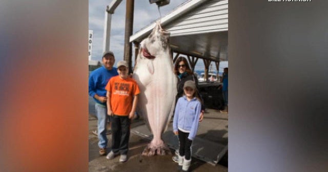 10-year-old catches 333-pound fish - CBS News