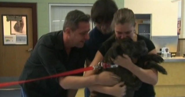After nine years, long-lost dog reunites with Alabama family - CBS News