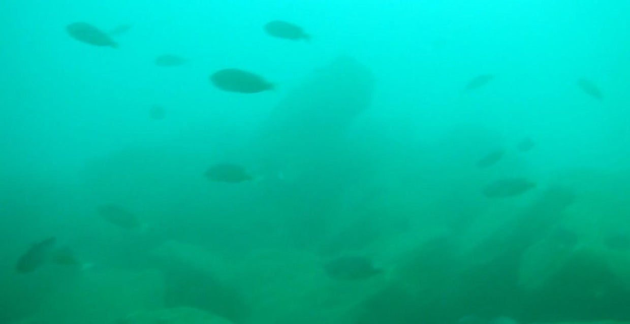 How a shocking environmental disaster was uncovered off the California ...