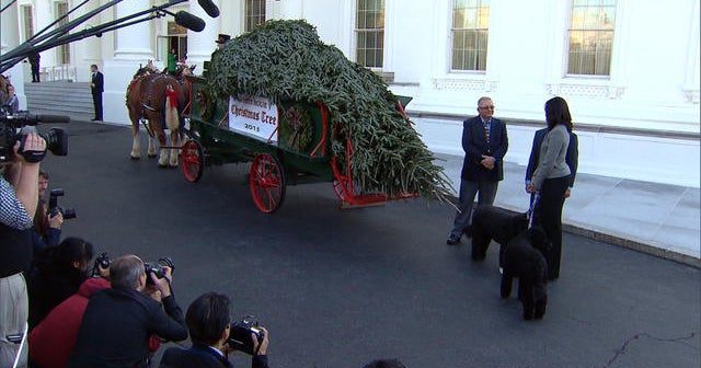 Michelle Obama welcomes Christmas tree to the White House - CBS News