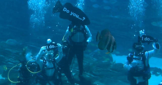 Couple weds in an underwater ceremony - CBS News