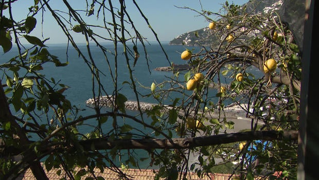 A sweet life: Growing lemons on the Amalfi Coast - CBS News