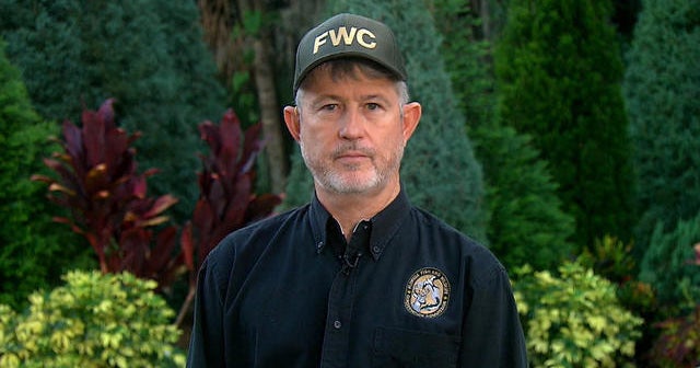 Disney resort alligator attack is "extremely rare" - CBS News