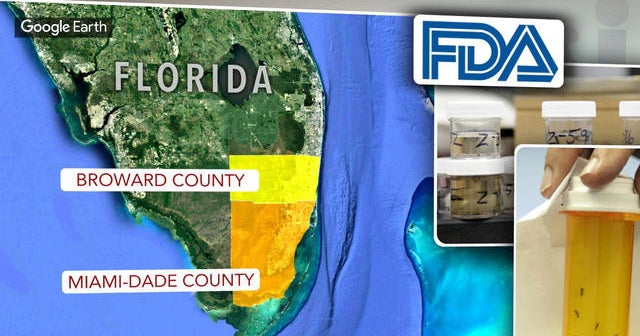 CDC director: Zika likely spreading in Florida - CBS News