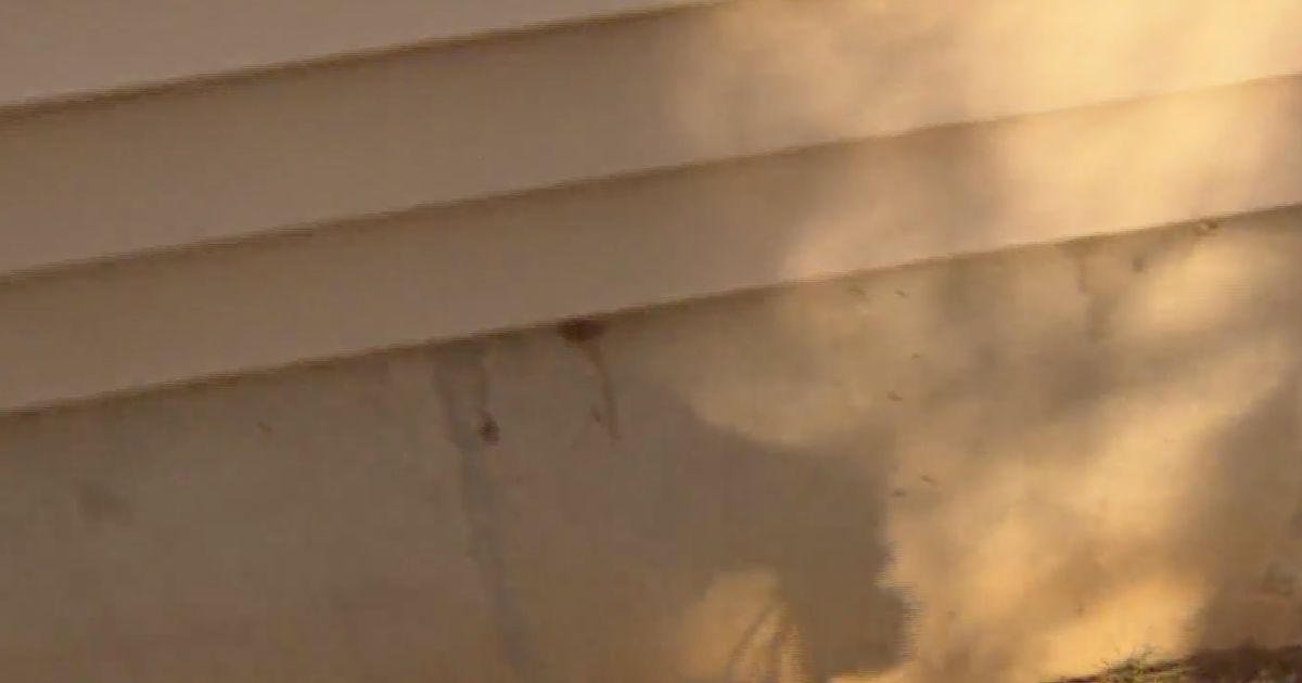 Gender reveal party explosion rocks homes, cracks house foundation in ...