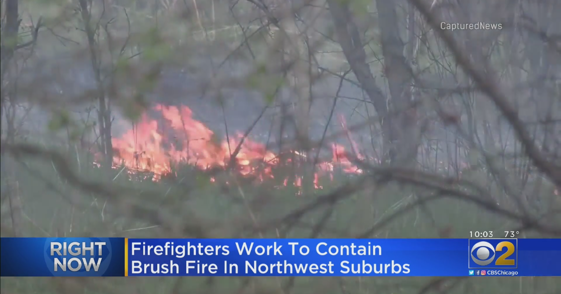 Brush Fire Rages In South Barrington After Jumping From Mulch Pile At ...