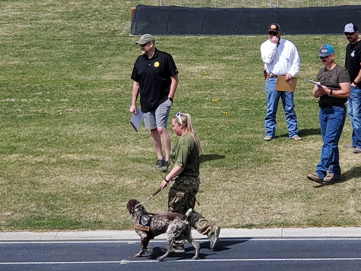 Police K9 Teams From Colorado, Utah & Wyoming Compete In Delta - CBS ...
