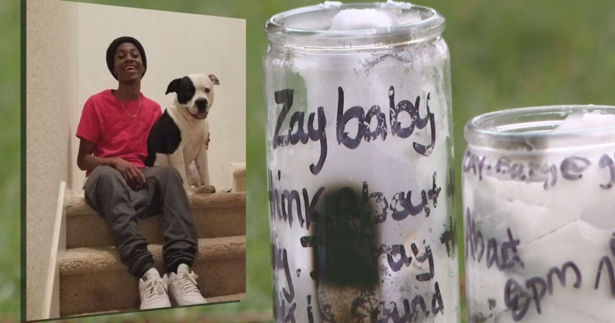 'A Healing Process': Tree Planting Project To Honor Victims Of Youth ...