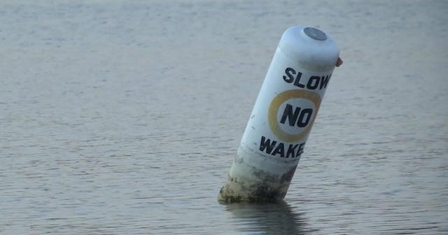 Girl survives gator bite at Florida park - CBS News