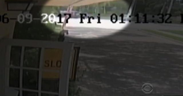 New video shows Venus Williams crash - CBS News