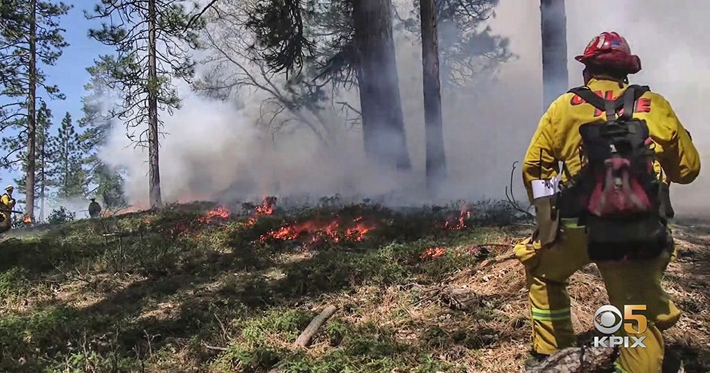 Vegetation Fire Shuts Down Hwy 146, Prompts Evacuation of Pinnacles ...