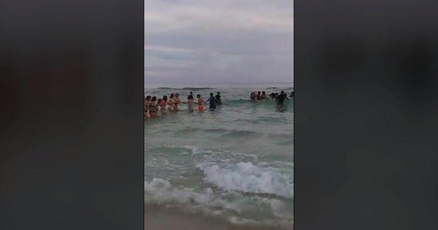 Dozens of strangers form human chain to rescue swimmers at Florida ...