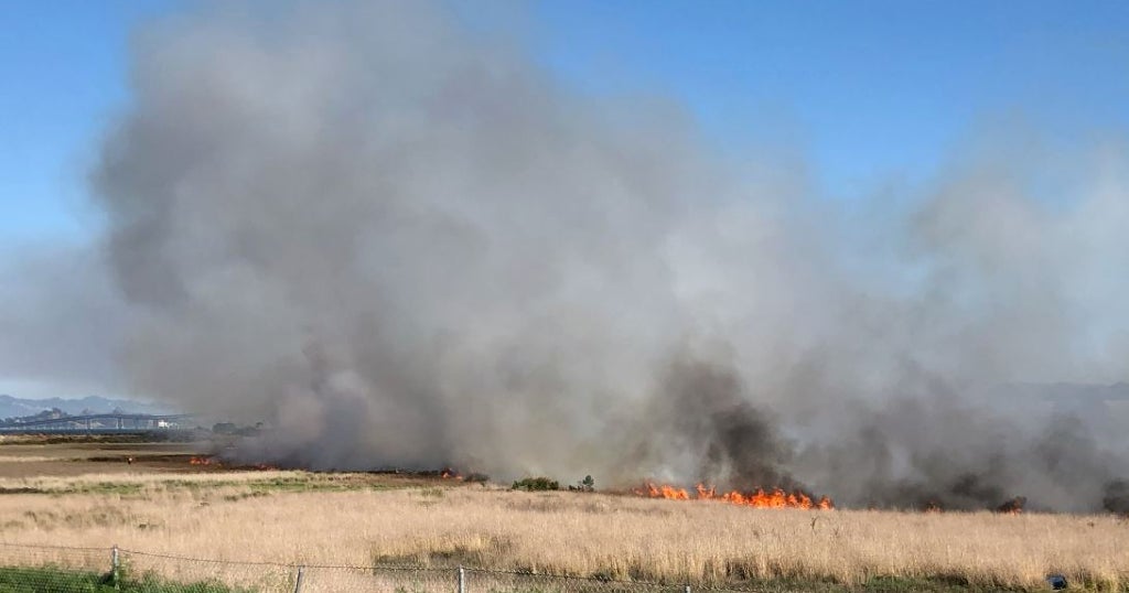 UPDATE: Crews Contain Grass Fire Burning Near Bay Shoreline In San ...