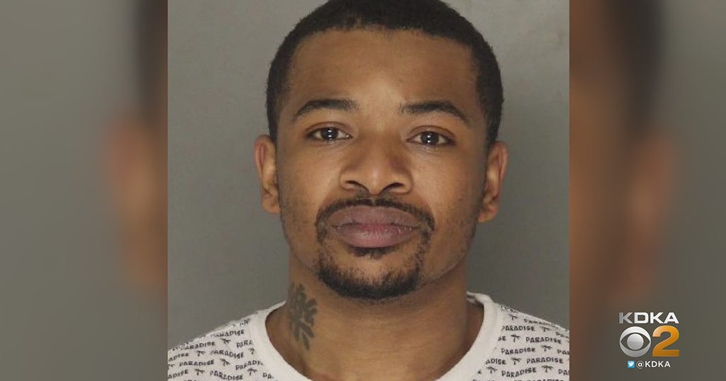 'I Hope It Was Worth It:" Man Facing More Than 20 Charges After ...