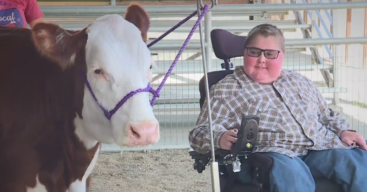 Steer Determination: Teen With Muscular Dystrophy Wins Dixon Fair ...