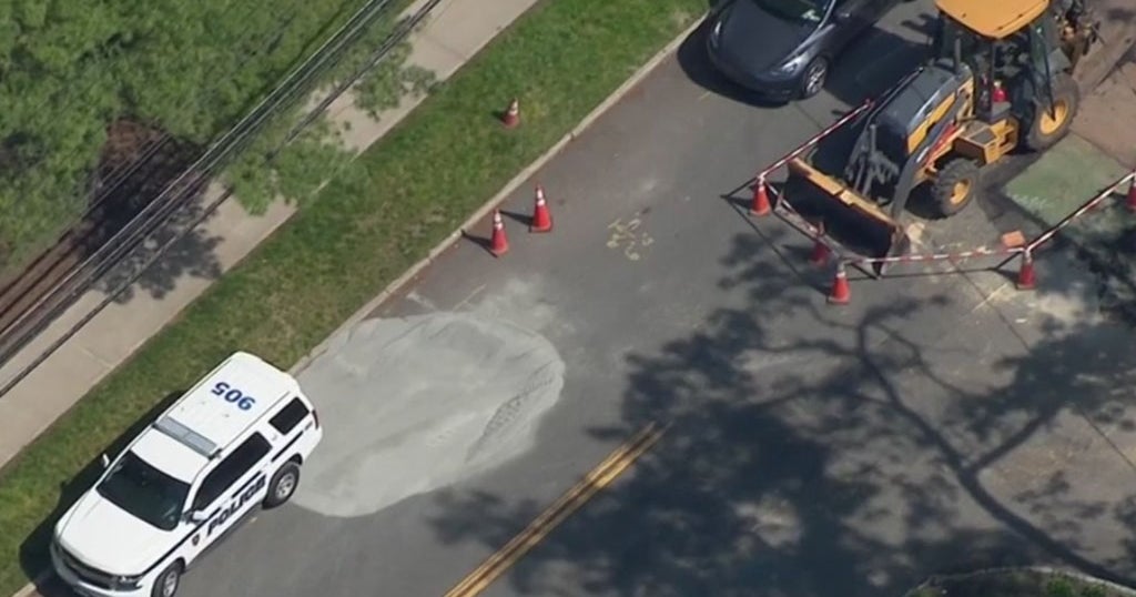 Police Officer Slashed In Face In Dobbs Ferry; Suspect In Custody - CBS ...