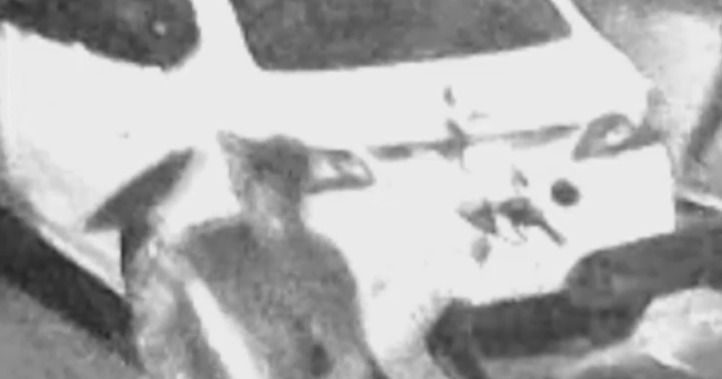 Caught On Video: Man Bashed With Traffic Divider In Unprovoked Midtown ...