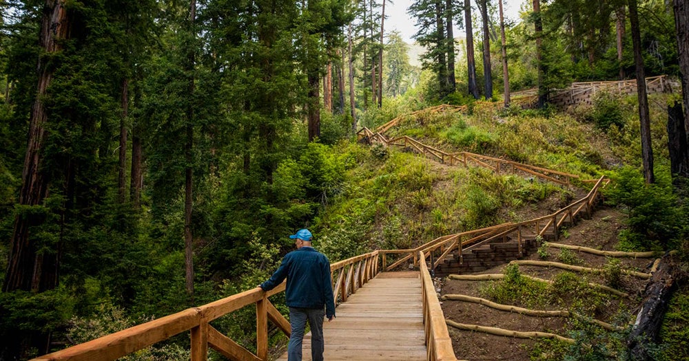 Big Sur's Pfeiffer Falls Trail Reopens Friday 13 Years After Being ...